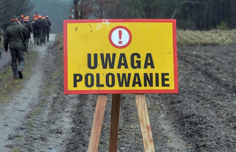 POLOWANIE ZBIOROWE - zinfo.pl